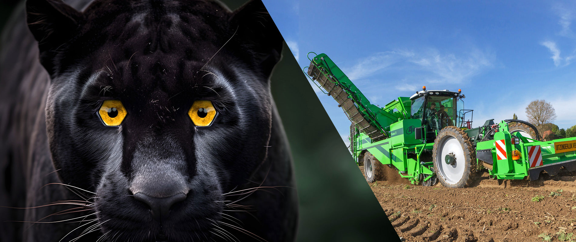 GROW. CARE. SHARE. - Cormana