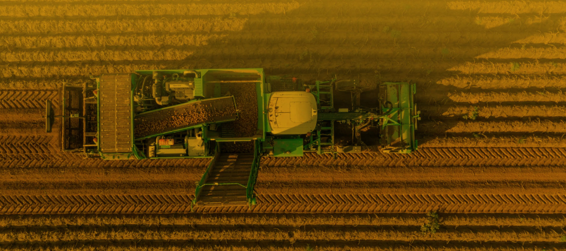 Culturi arabile - Cormana