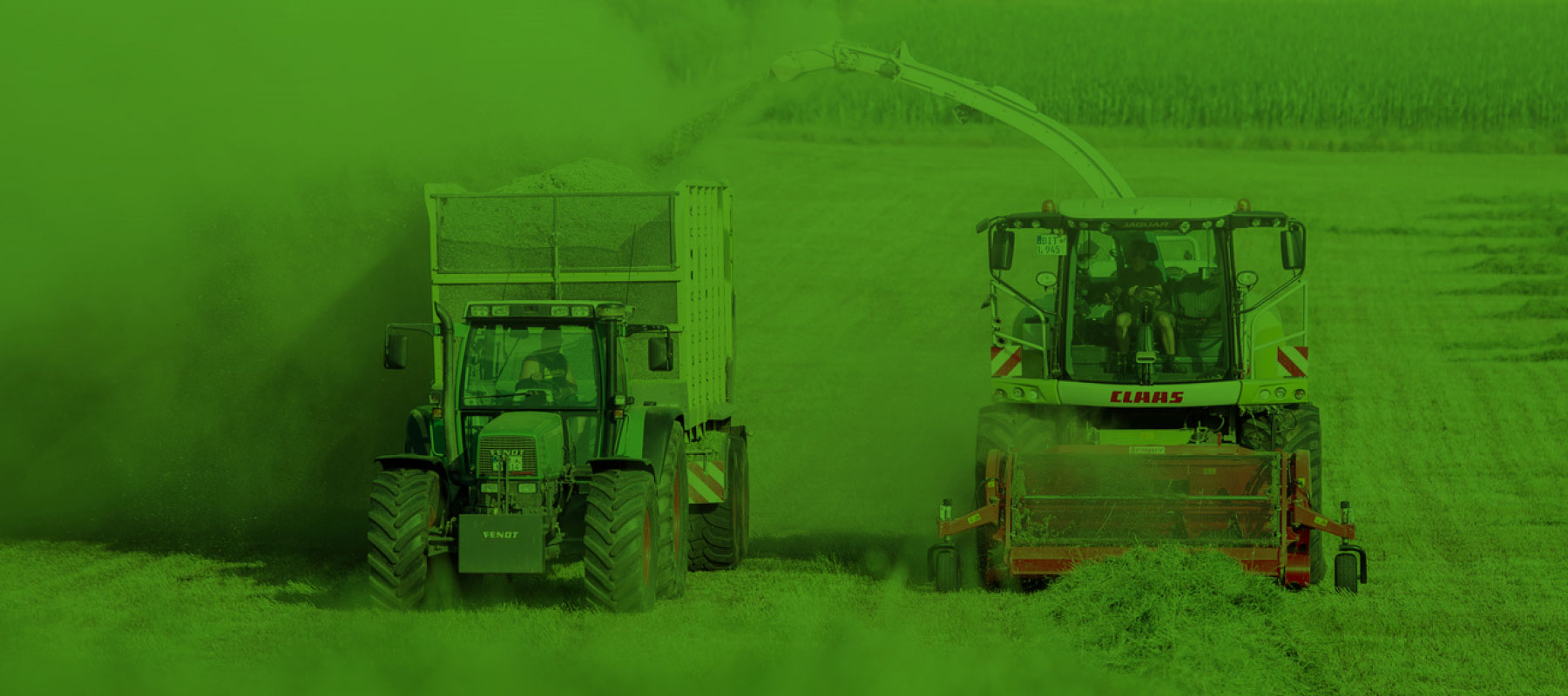 Livestock farming - Cormana